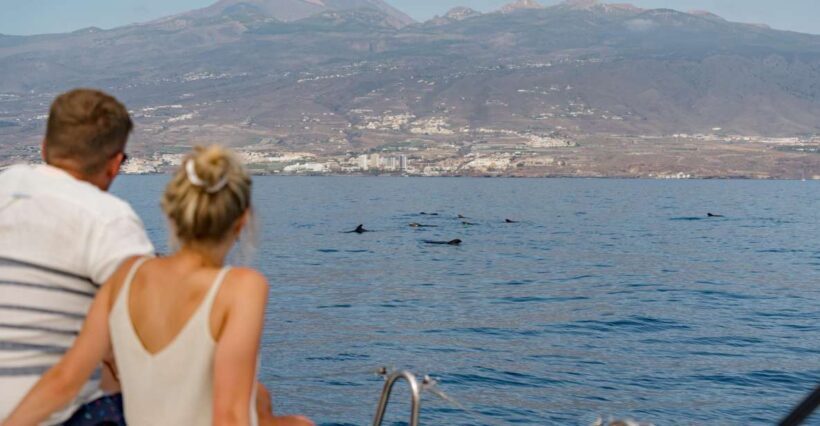 Puerto Colon: Whale and Dolphin Watching Yacht Trip - FAQ