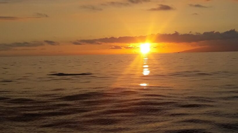 Puerto Colon: Whale-Watching Sailing Tour with Meal & a Swim - An In-Depth Look at the Experience