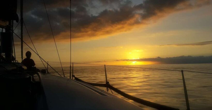 Puerto Colon: Whale-Watching Sailing Tour with Meal & a Swim - Why This Tour Is a Great Choice