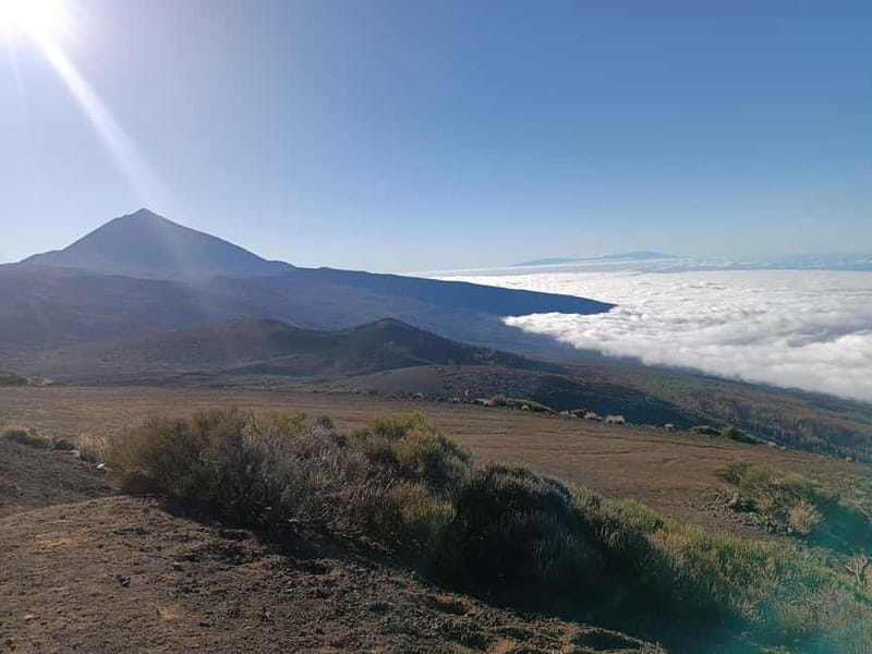 Puerto Cruz: VIP Teide Sunset & Stars, Guachiche Lunch+Cava - Authentic Experiences and Authenticity