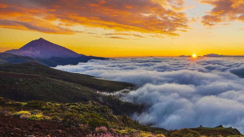 Puerto Cruz: VIP Teide Sunset & Stars, Guachiche Lunch+Cava - Analyzing Value