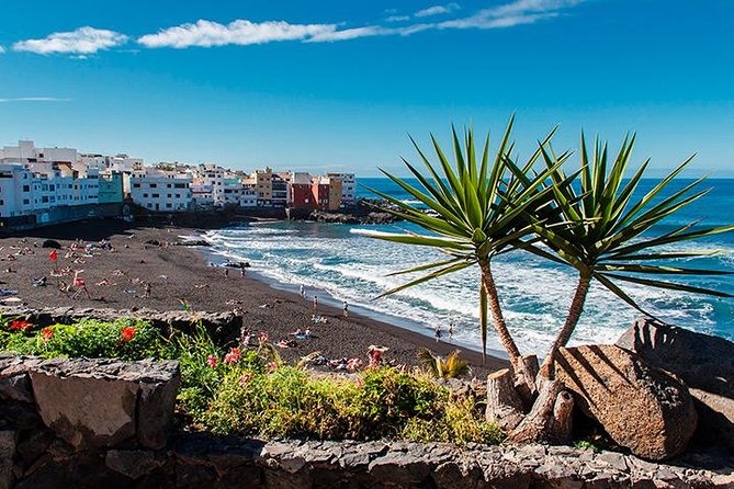 Puerto de la Cruz City Tour with Transfers - Who Will Love This Tour?