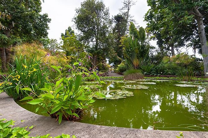 Puerto de la Cruz City Tour with Transfers - Final Thoughts