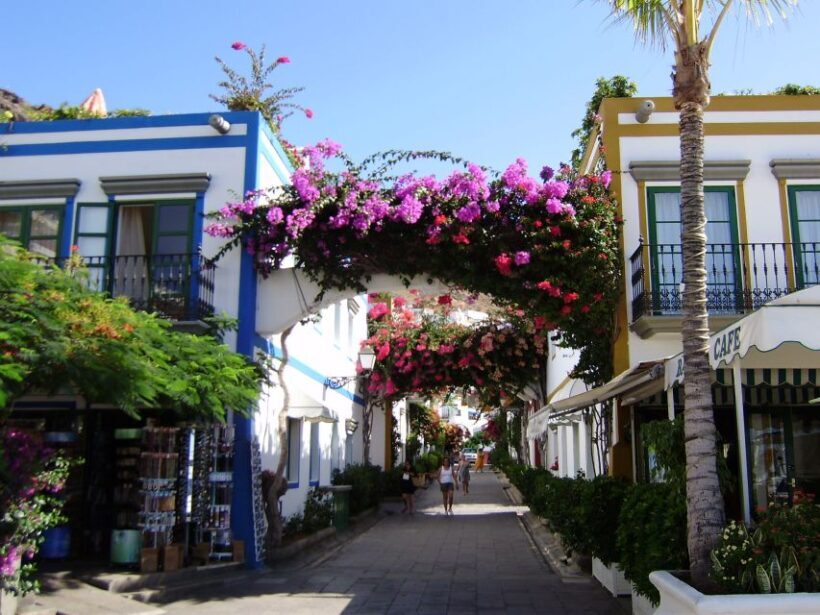 Puerto de Mogan: Friday Market Experience - Key Points