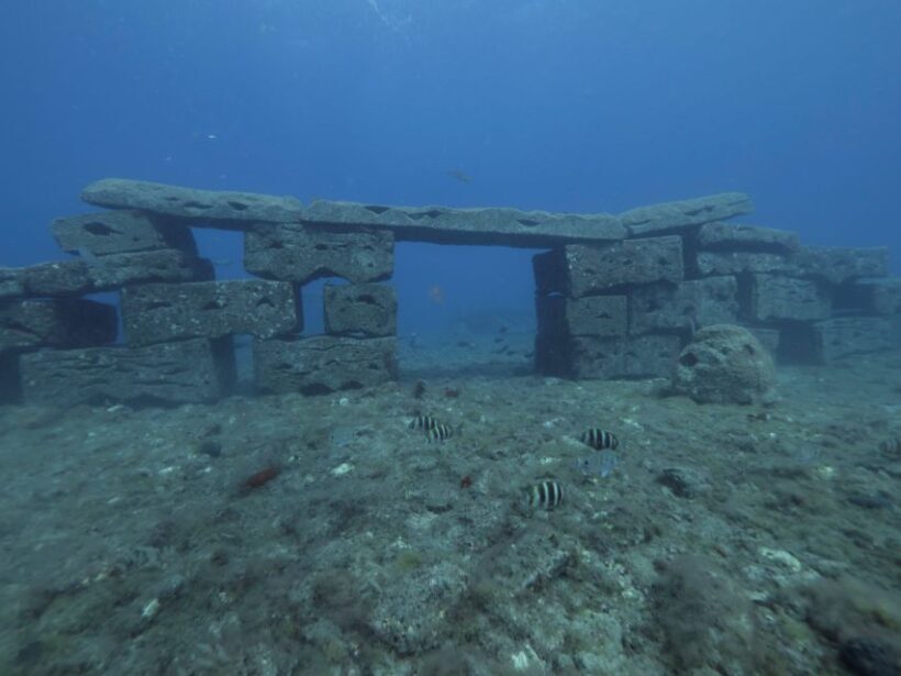 Puerto de Mogán: Submarine Tour - What to Expect on the Tour