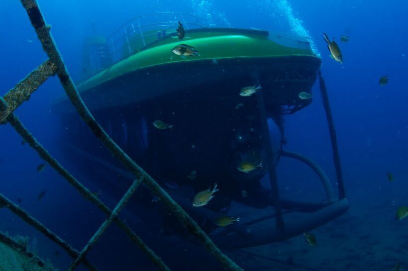Puerto de Mogán: Submarine Tour - Final Thoughts: Who Should Consider This Tour?