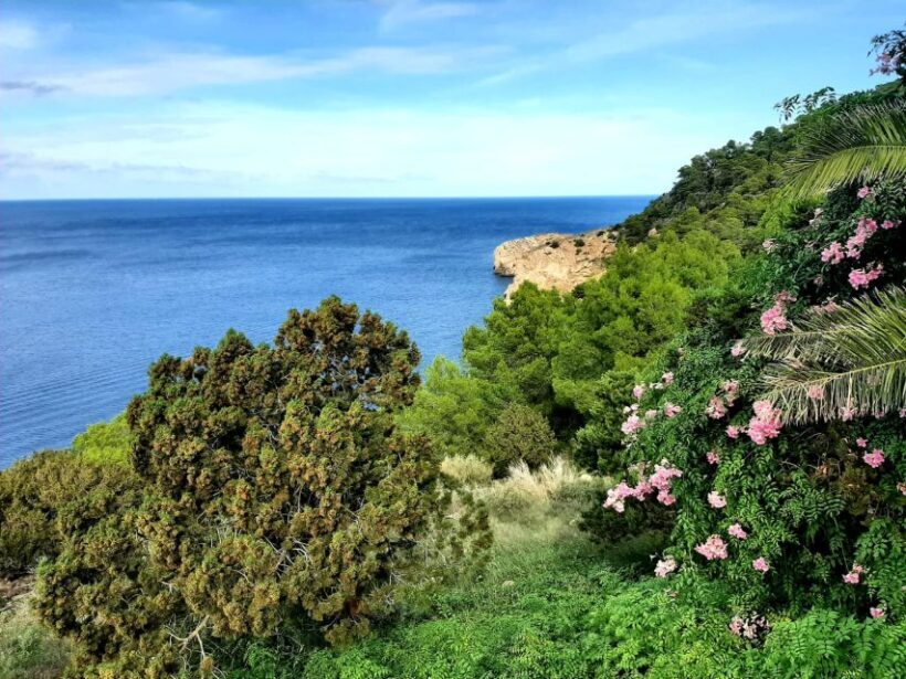 Puerto de San Miguel: Can Marçá Cave Guided Tour with Entry - Key Points