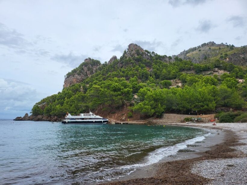 Puerto de Sóller: Cala Tuent Return Boat Trip - Key Points