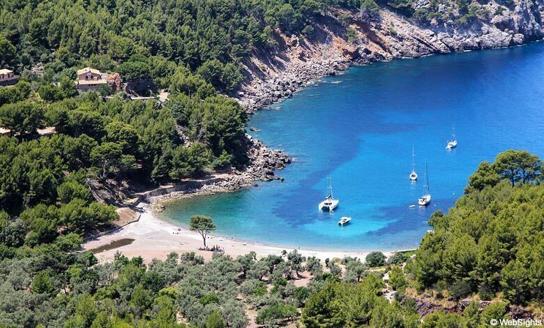 Puerto de Sóller: Cala Tuent Return Boat Trip - Authentic Reviews: What Travelers Say