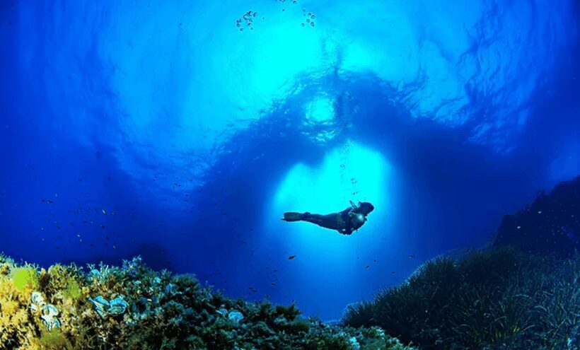 Puerto de Soller: Train and Discover Scuba Diving - Key Points