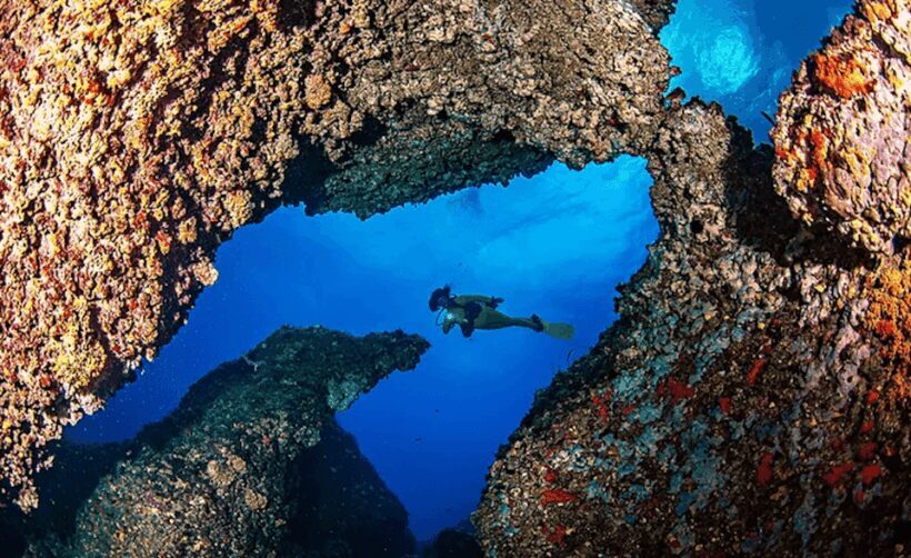 Puerto de Soller: Train and Discover Scuba Diving - An Introduction to the Experience
