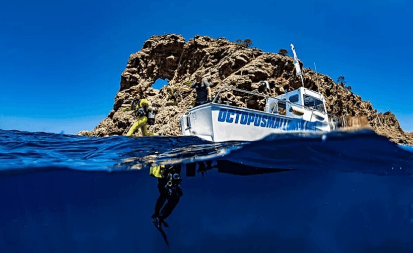Puerto de Soller: Train and Discover Scuba Diving - What Makes This Tour Stand Out