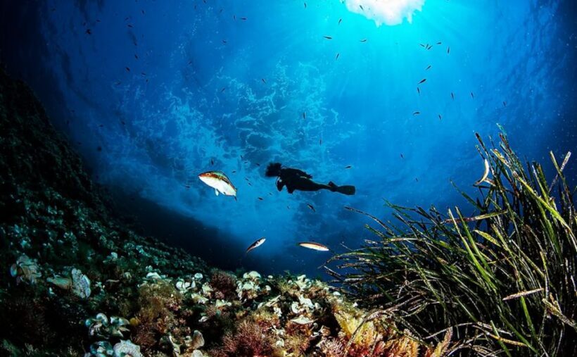 Puerto de Soller: Train and Guided Scuba Diving Experience - Final Thoughts