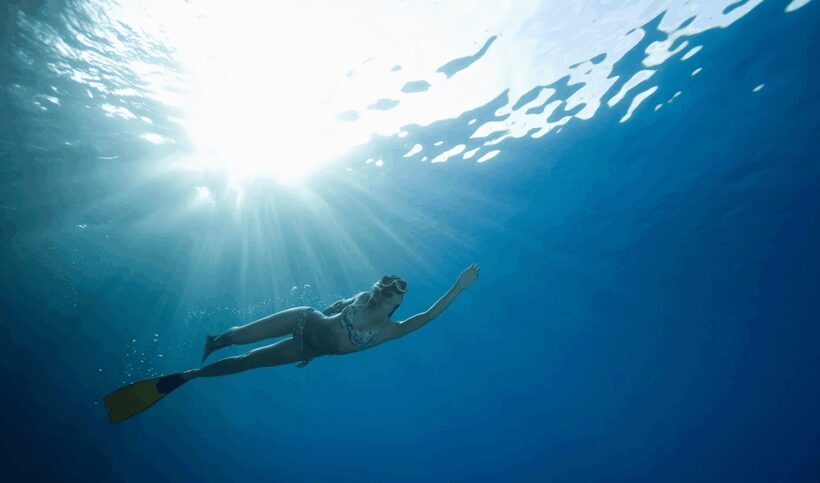 Puerto de Sóller: Train, Boat Cruise and snorkeling - Key Points