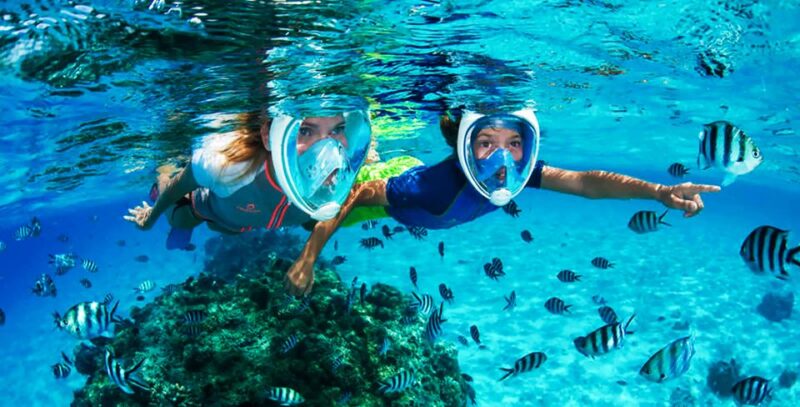 Puerto del Carmen: Dolphin-Watching Speedboat Tour with Swim - Final Thoughts