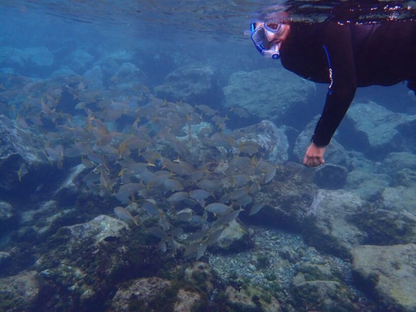 Puerto del Carmen: Snorkeling Trip with Dive Instructor - FAQs