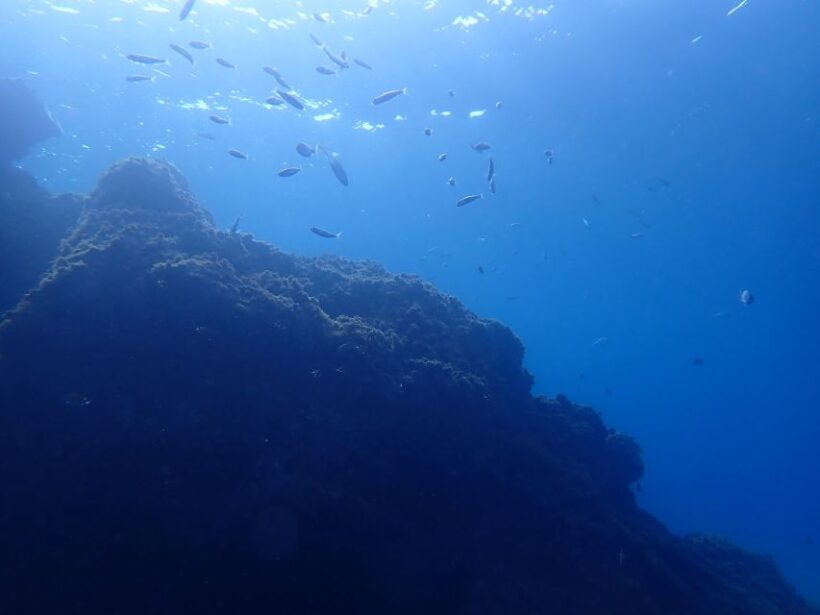 Puerto del Carmen: Try Scuba Diving from the beach - Whats Included and Whats Not