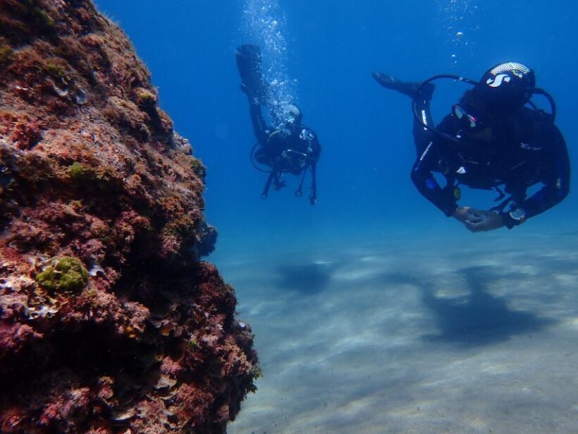 Puerto del Carmen: Try Scuba Diving from the beach - Who Will Love This?