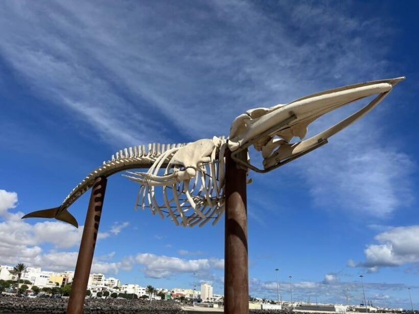 Puerto del Rosario: Private City Tour - Final Thoughts