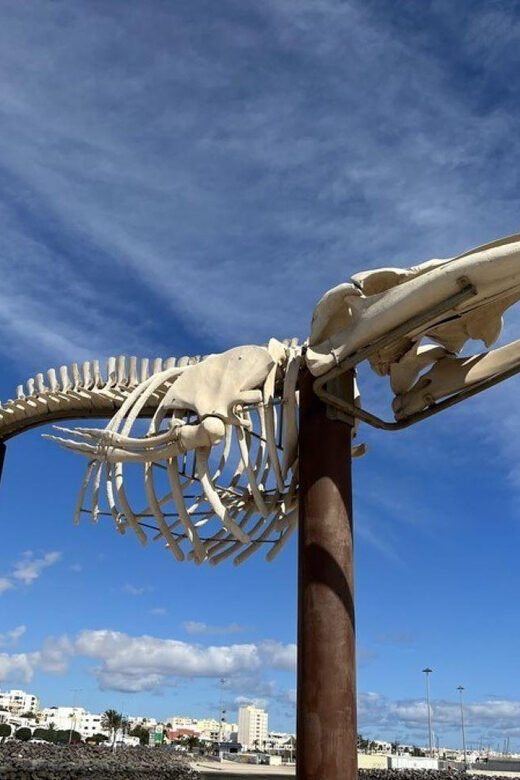 Puerto del Rosario: Private City Tour - FAQs