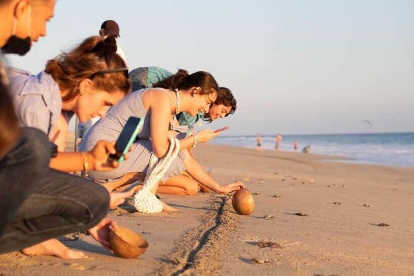 Puerto Escondido: Baby Turtle Release Tour - A Closer Look at the Tour Experience