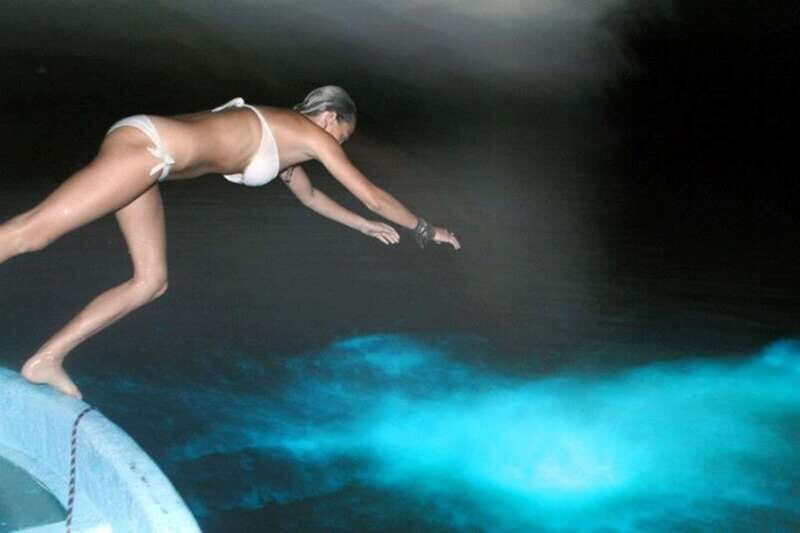 Puerto Escondido: Bioluminescence Night Spectacle - Reviews and Real Traveler Perspectives