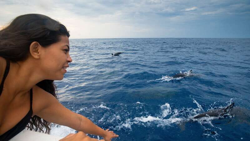 Puerto Escondido: Boat Tour among Dolphins and Turtles - Detailed Review of the Experience