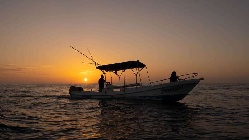 Puerto Escondido: Boat Tour among Dolphins and Turtles - Practical Tips for Travelers