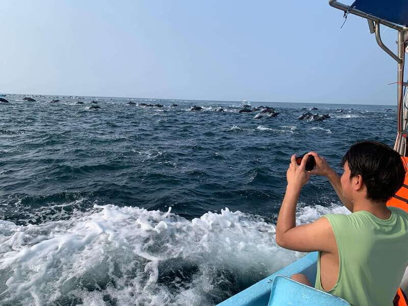 Puerto Escondido: Boat Tour to see Dolphins and Marine Life - Exploring Puerto Escondidos Marine Life: A Detailed Review of the Boat Tour to See Dolphins and Marine Creatures