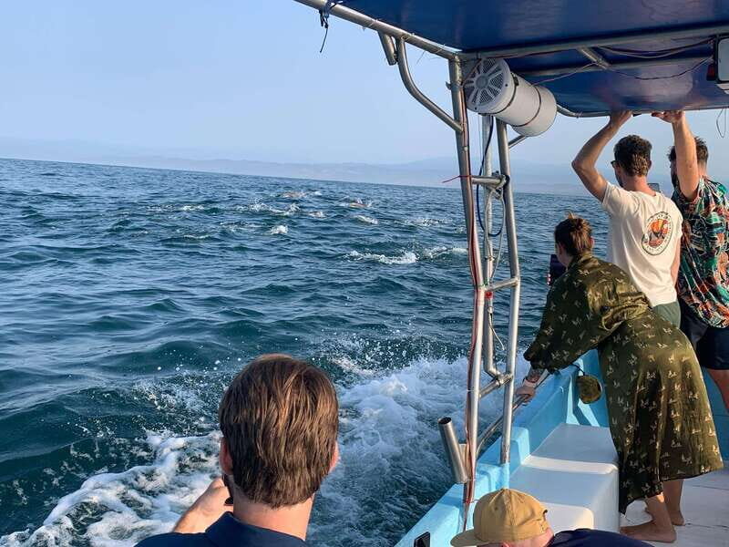 Puerto Escondido: Boat Tour to see Dolphins and Marine Life - The Itinerary in Detail: What Makes Each Part Special