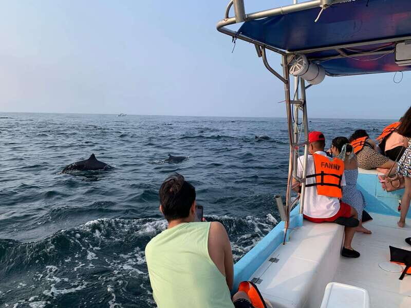 Puerto Escondido: Boat Tour to see Dolphins and Marine Life - Value and Pricing: Does It Deliver?