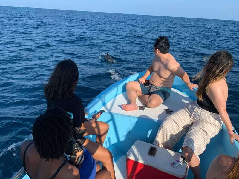 Puerto Escondido: Boat Tour to see Dolphins and Marine Life - The Sum Up: Who Gets the Most from This Tour?