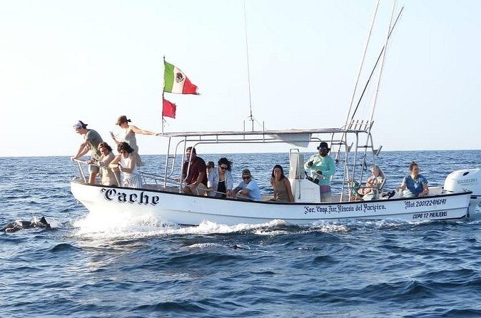 Puerto Escondido Dolphin and Whale Watching Adventure - FAQ