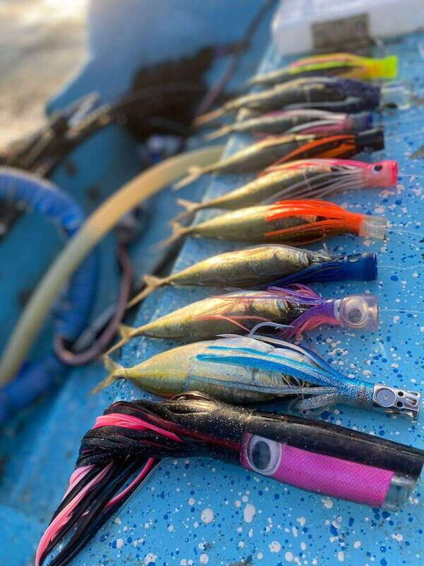 Puerto Escondido: Fishing Boat Trip with Buffet Lunch - An Honest Look at the Puerto Escondido Fishing Experience