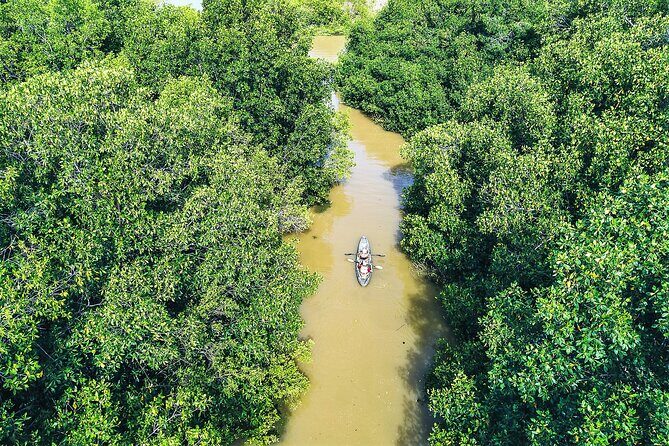 Puerto Escondido: Manialtepec Lagoon by Kayak - Who Should Book This Tour?