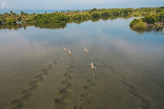 Puerto Escondido: Manialtepec Lagoon by Kayak - FAQ
