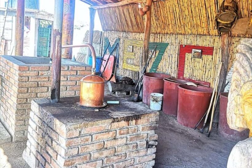 Puerto Escondido: Mezcal, Coffee, and Pedal Loom Factory - Exploring the Tour: A Detailed Look
