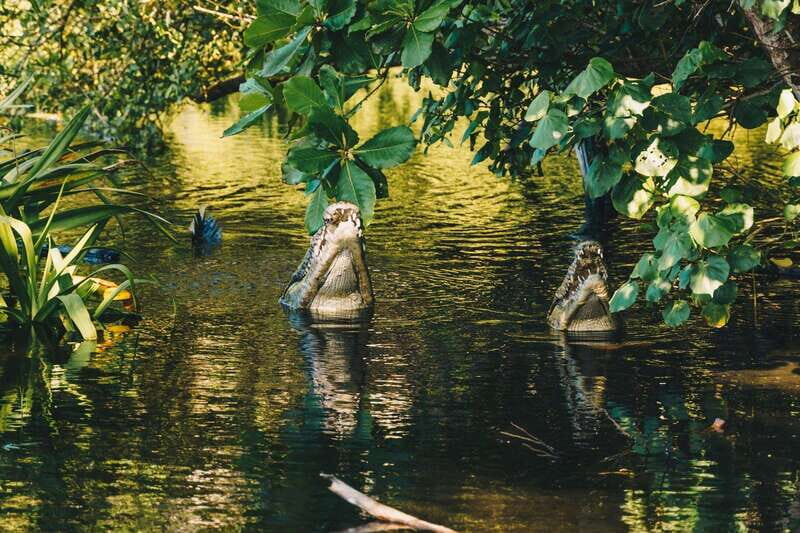 Puerto Escondido: Oaxaca Coast Wildlife Ecotour - Who Should Consider This Tour?