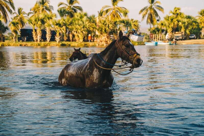 Puerto Escondido: Sunset Horse Back Riding Tour - Final Thoughts: Who Will Love This Tour?