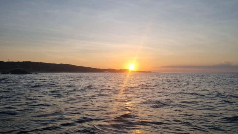 Puerto Escondido: The Best Adventure for Dolphin Watching - The Value of This Experience