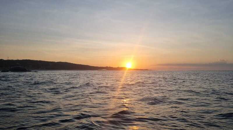 Puerto Escondido: The Best Adventure for Dolphin Watching - FAQ