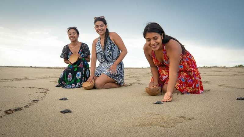 Puerto Escondido: Turtle Release and Bioluminescent Plankton - The Guide and Experience Quality
