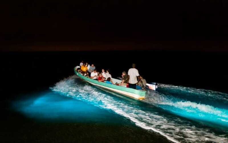 Puerto Escondido: Turtle Release and Bioluminescent Plankton - Frequently Asked Questions