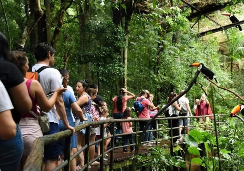Puerto Iguazu: Iguaza Falls Brazilian Side & Bird Park Tour - Considerations and Caveats