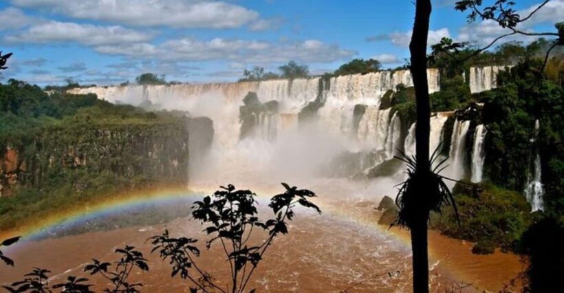 Puerto Iguazú: Tour to Brazilian Iguazú Falls with Bird Park - The Itinerary: Seeing the Falls and Wildlife Up Close
