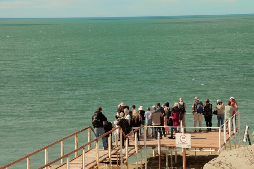 Puerto Madryn: Full Day Peninsula Valdes Experience Tour - The Sum Up: Is It Worth It?