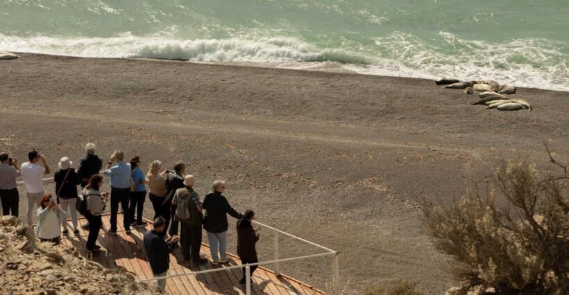 Puerto Madryn: Full Day Peninsula Valdes Experience Tour - FAQ