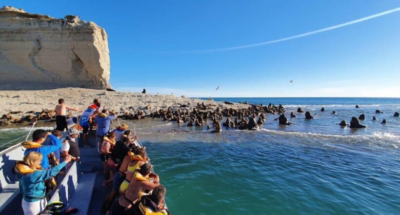 Puerto Madryn: Peninsula Valdes Tour with Whale Watching - What the Tour Includes and How It Runs
