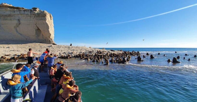 Puerto Madryn: Peninsula Valdes Tour with Whale Watching - The Whale Watching Experience