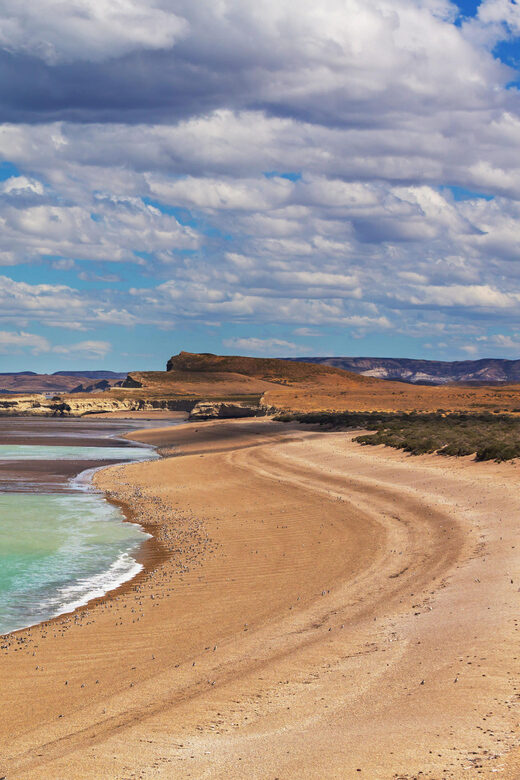 Puerto Madryn: Península Valdes with optional Whale Watching - Key Points